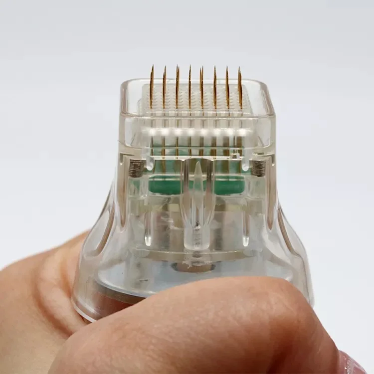 Profession 2 In 1 Wrinkle Remover Scarlet Fractional Secret RF Needle ...