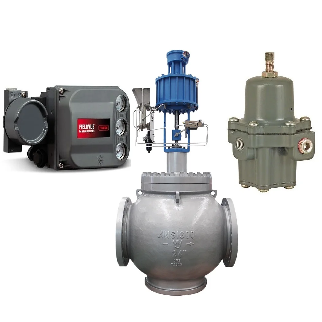Flow Control Valve with Fisher DVC6200 Positioner & 67CFSR Filter Regulator