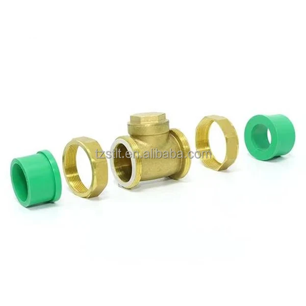 DN25 Non Return Valve with PPR Fittings Union Check Valve