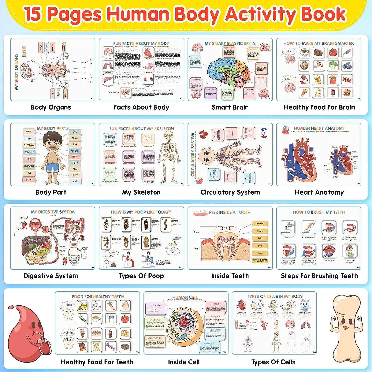 Human Body Education Books Style Preschool Busy Preschool Learning ...