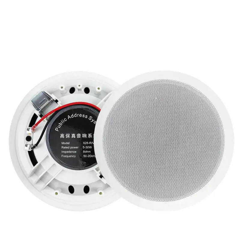 2 Way Ceiling Speaker 1U Power 10 Inches Mid Bass 18 Inch Music 1000 ...