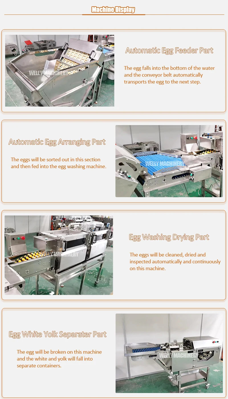 Industrial Quail Egg Washing Washer Egg Cracking Broken Remover Yolk ...