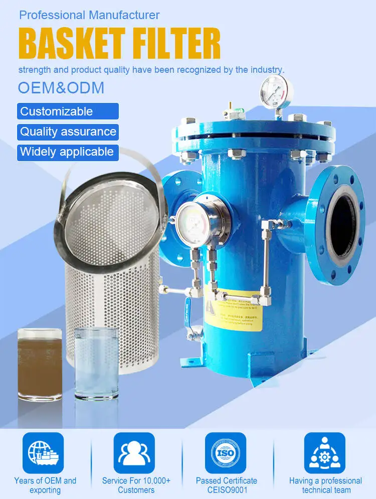 Customized Flange Type Stainless Steel Basket Strainer