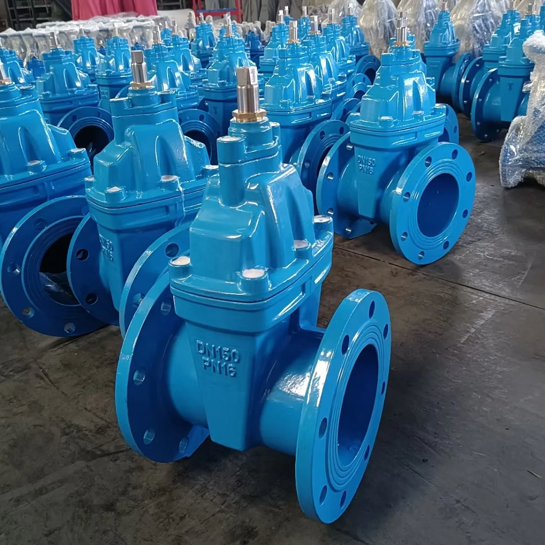 Resilient Gate Valve For Water 400mm Dia Rising Stem Gate Valve Bs En ...