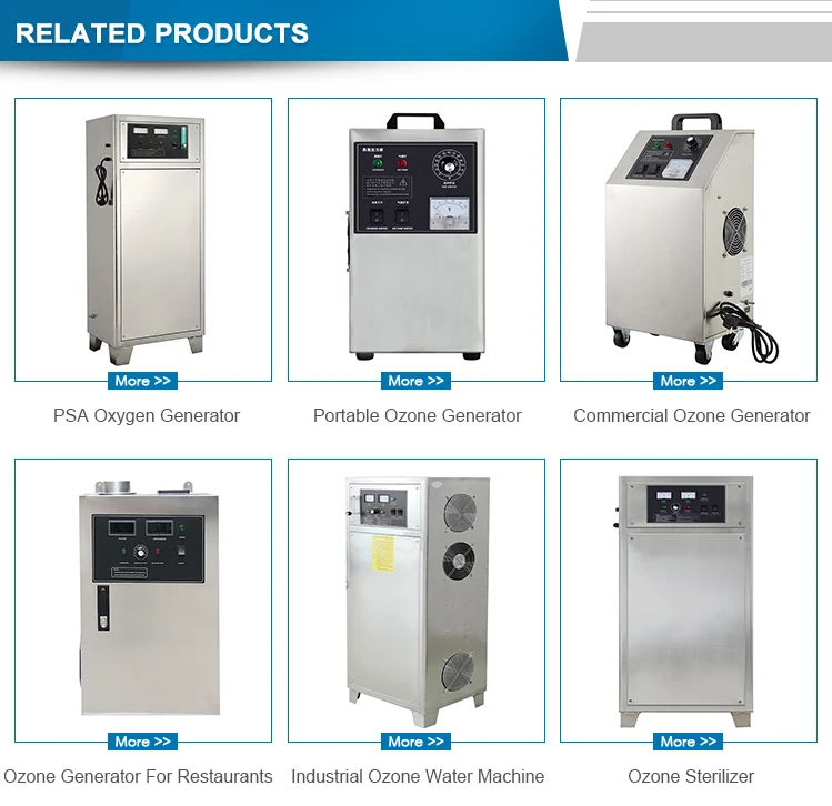 High Quality 15g Ozone Generator Spare Parts for Car Hotel Outdoor ...