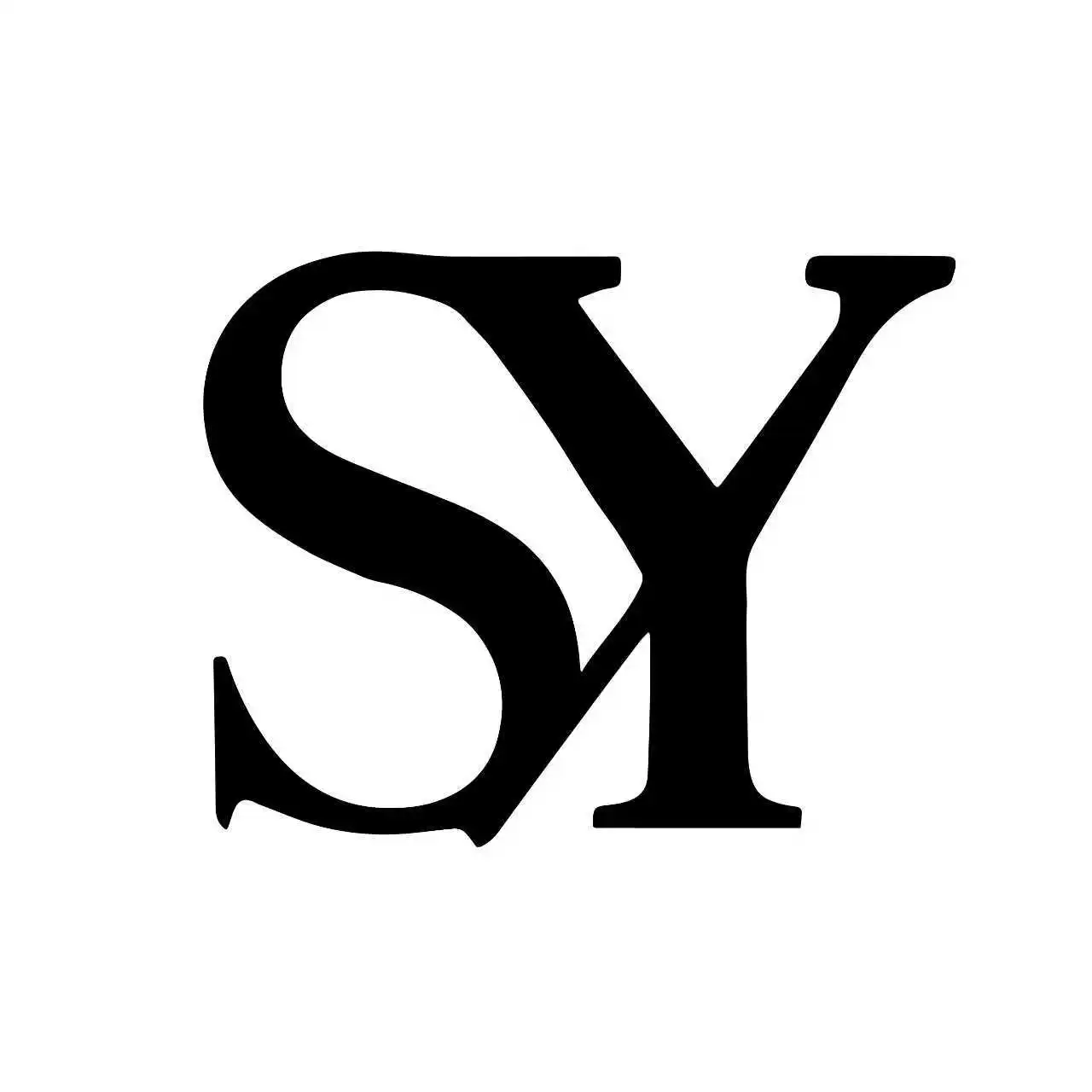 Company Overview - Sheyi International Trading (guangzhou) Co., Ltd.