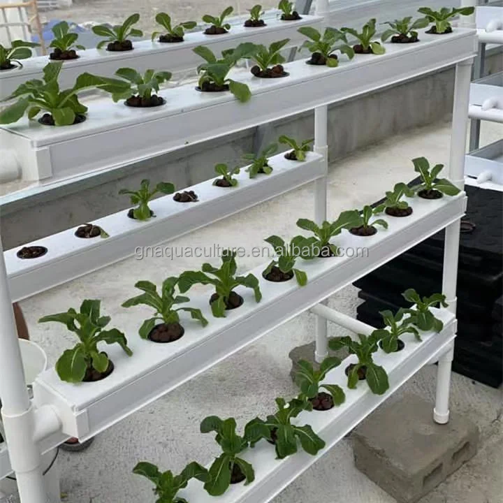 Hydroponics Trough Hydroponics Nft Channels Growing Systems Cultivation ...