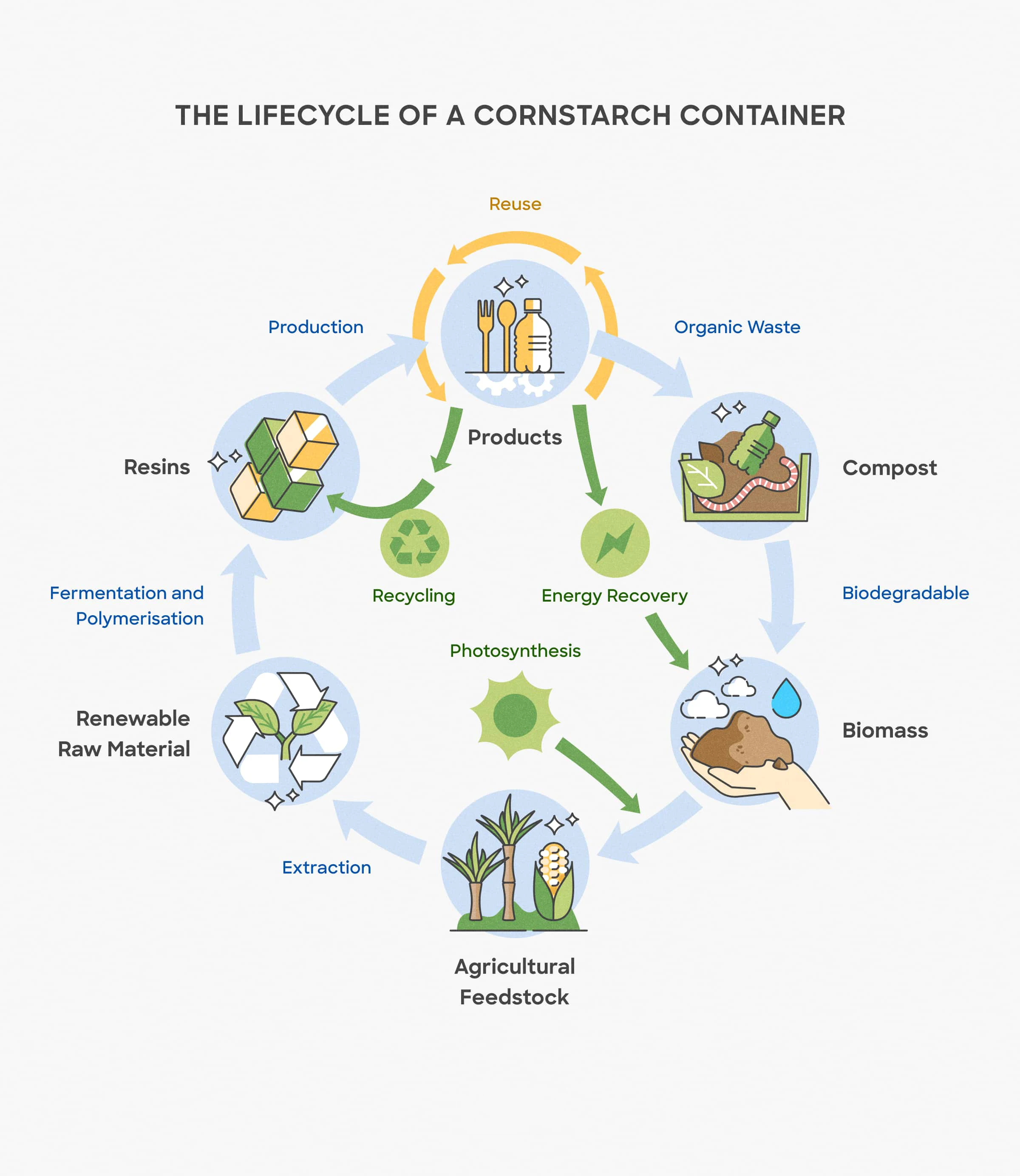 Compostable Corn Starch Tableware - Biodegradable & Eco-friendly