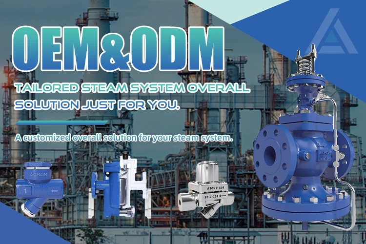 Automatic Air Water Oil Steam Traps Drain Valve with Inverted Bucket ...