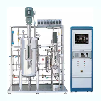 Industrial Fermentor Bioreactor 2000l 100l 300l 1000l 10000 100000 L ...