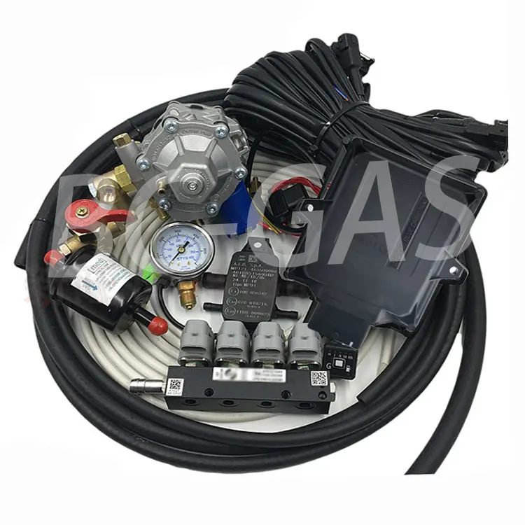 Fuel Injection CNG 4 Cylinders Car Conversion Kits for Sequential ...