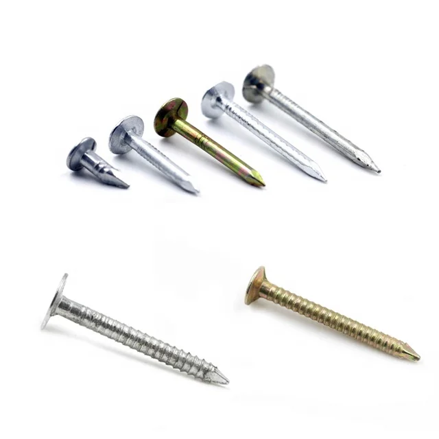 Electro Galvanized Large Head Clout Nail 1"x11g Felt Nail Linoleum Nail ...