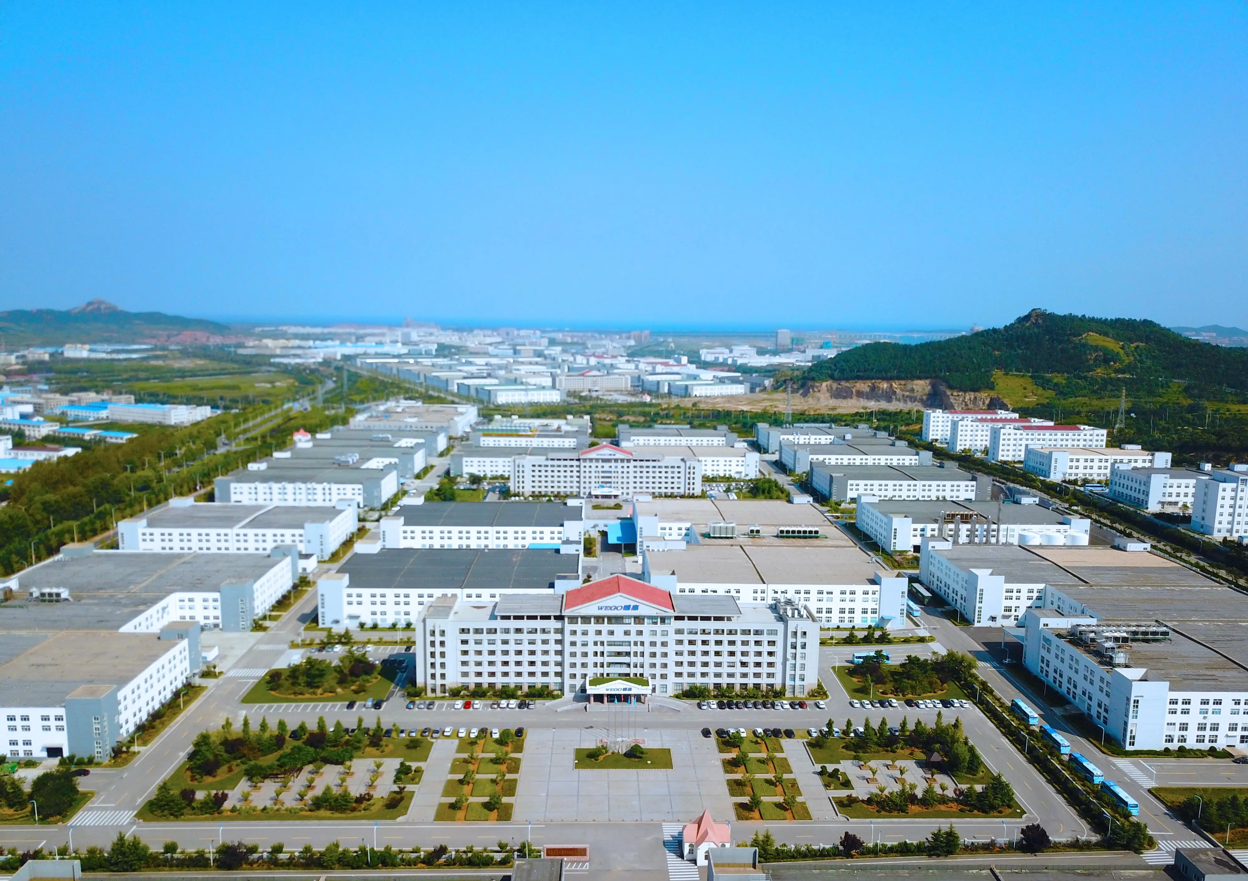 Company Overview - Weigao Medical International Co., Ltd.