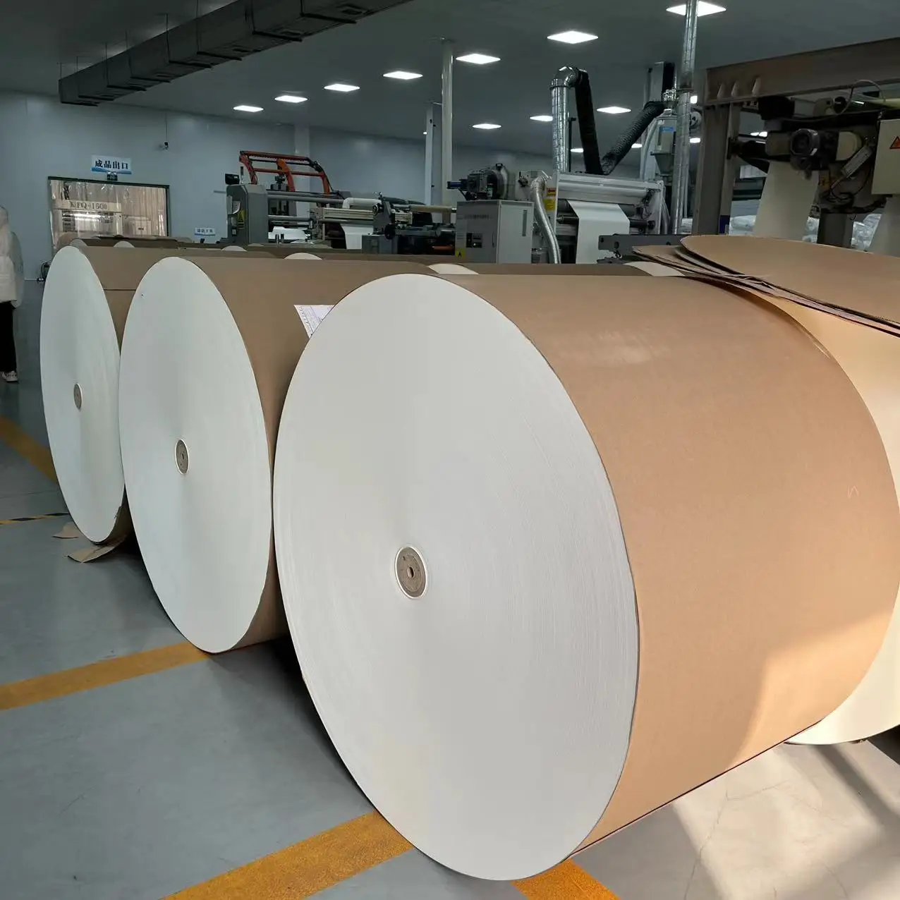 Alibaba.com: Cupstock 160gsm Coated PE Paper Rolls for Disposable ...