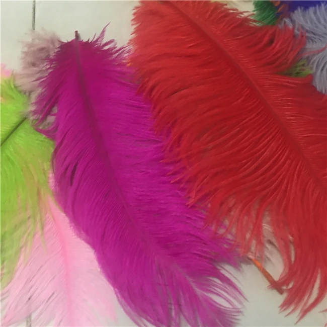 55-60cm Plumas Artificial Ostrich Feathers - Buy 55-60cm Plumas ...