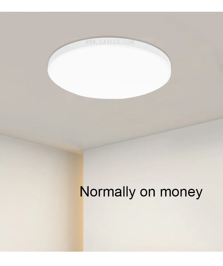 AC220V Indoor Outdoor Ceiling Light IP65 Waterproof Microwave radar ...