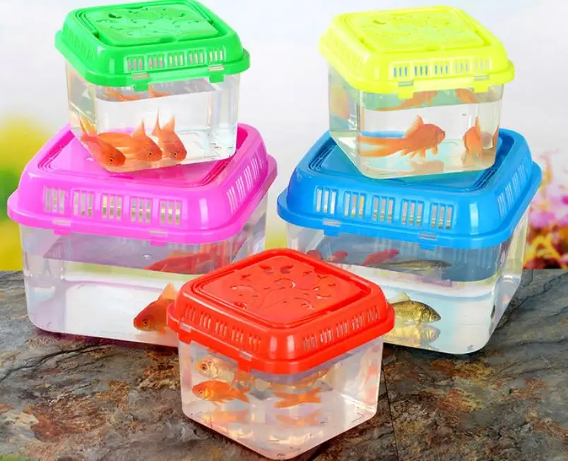 Stall Small Goldfish Box Small Turtle Plastic Children Carrying Small ...