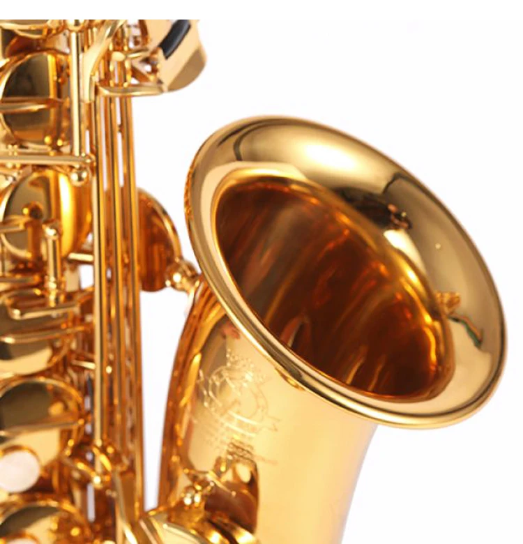 Learn To Play High-performance As-7301 High-quality Brass Alto ...