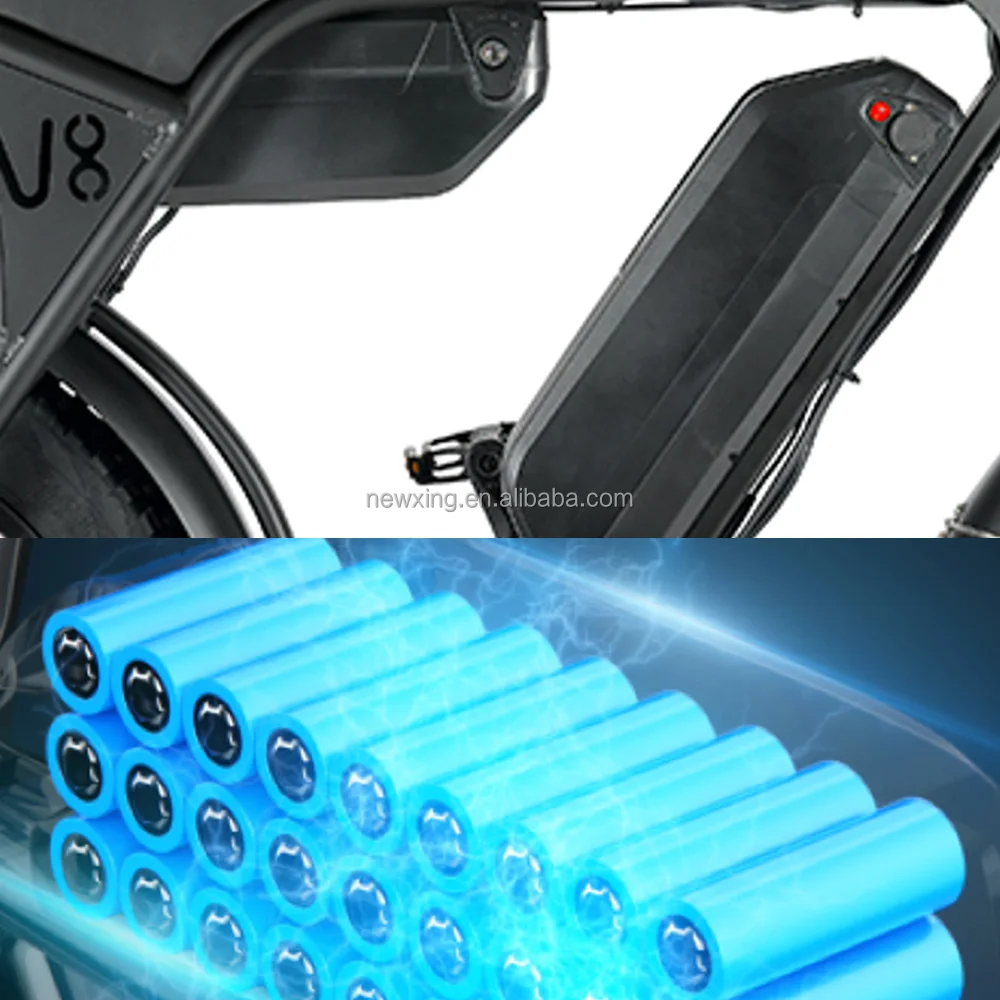 20 Inch Electric Fatbike C80 with Two Batteries - Long Range