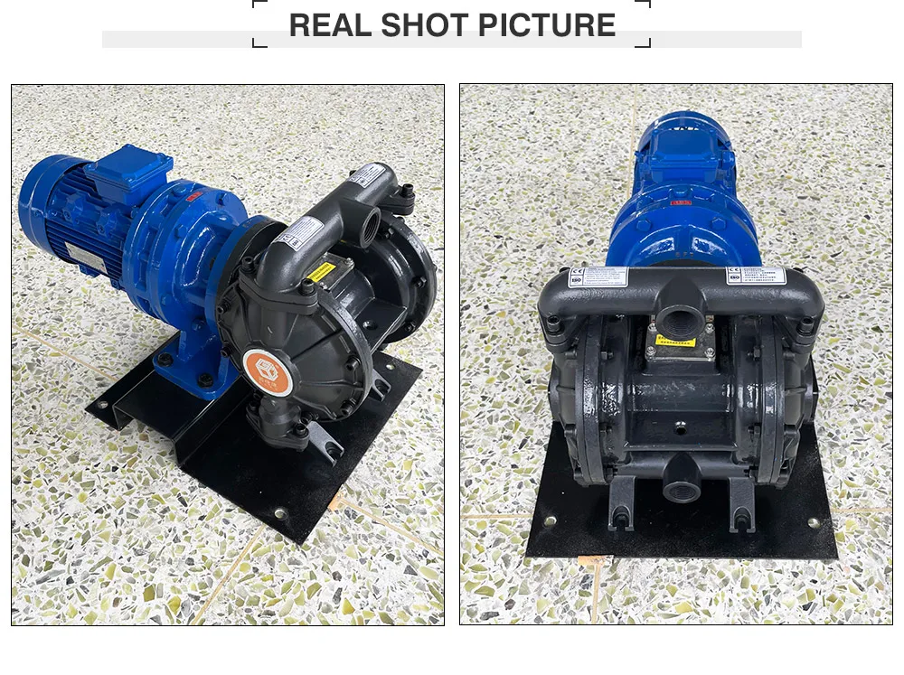GODO BFD-25G High Efficiency Cast Steel Diaphragm Pump Electric Pump ...