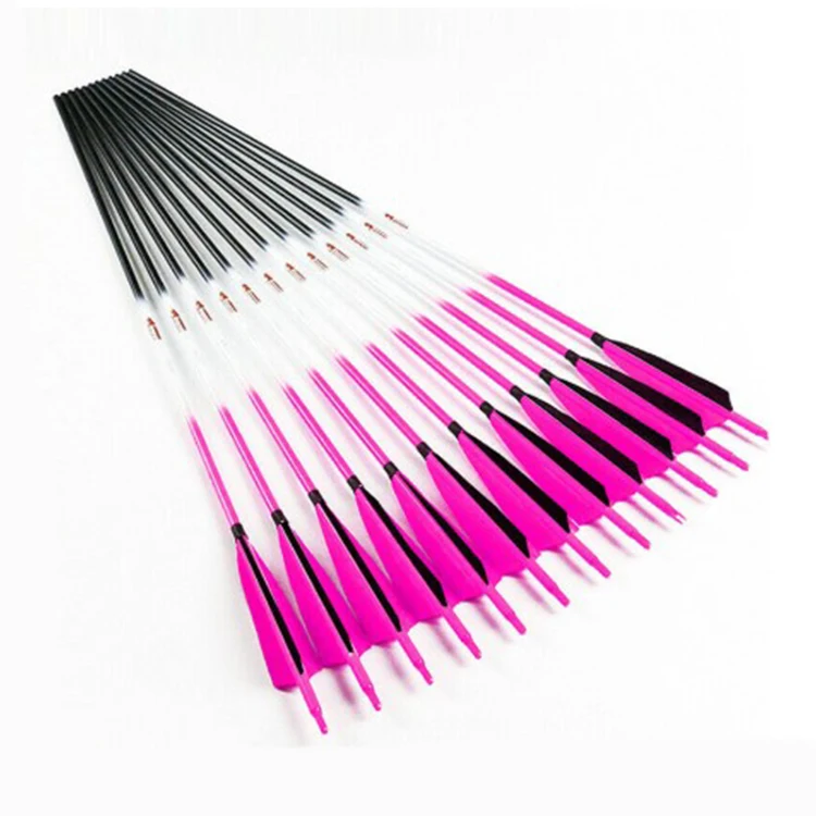 Compound Bow And Arrow Pink