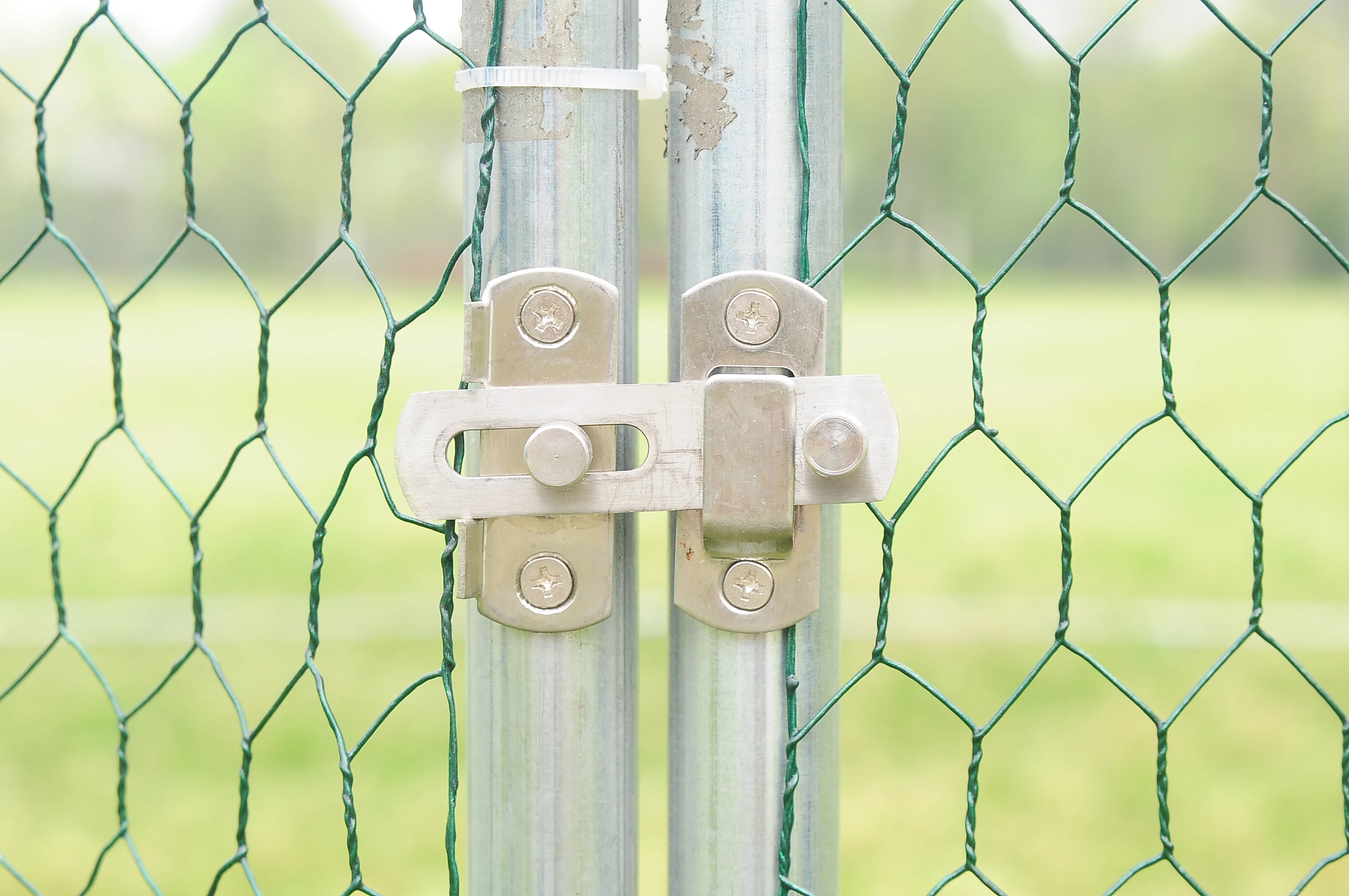 Durable Galvanized Steel Chicken Coops for Backyard Farms