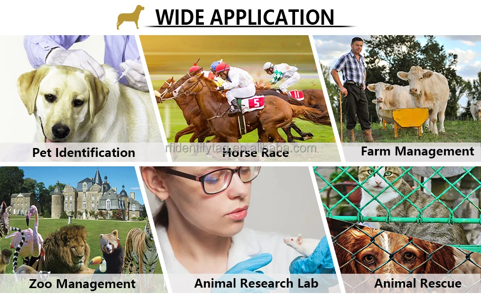 Implantable Rfid Microchip Animal Identification Transponder 13.56 Mhz ...