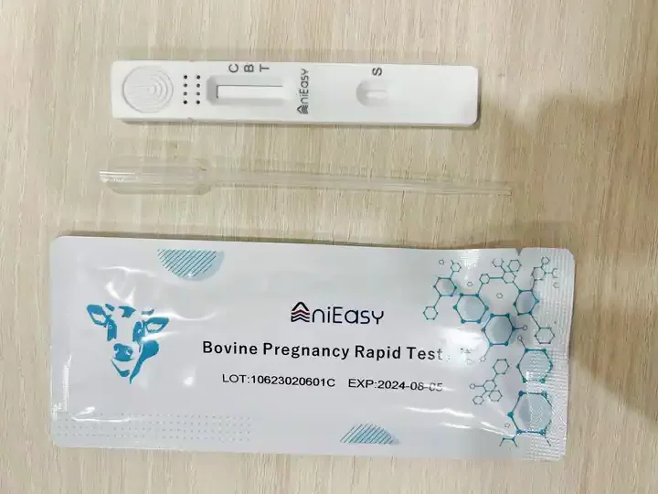 Bovine Pregnancy Rapid Test Kit - Accurate Diagnosis