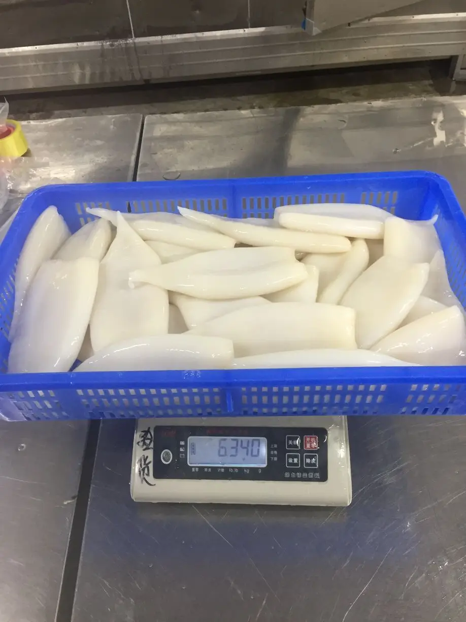 Frozen Cleaned Squid Tubes - Nutritious & Customizable