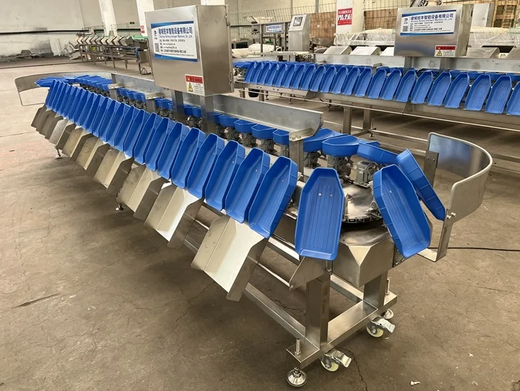 Automatic Fruit And Vegetable Weight Sorting Grading Machine Potato ...