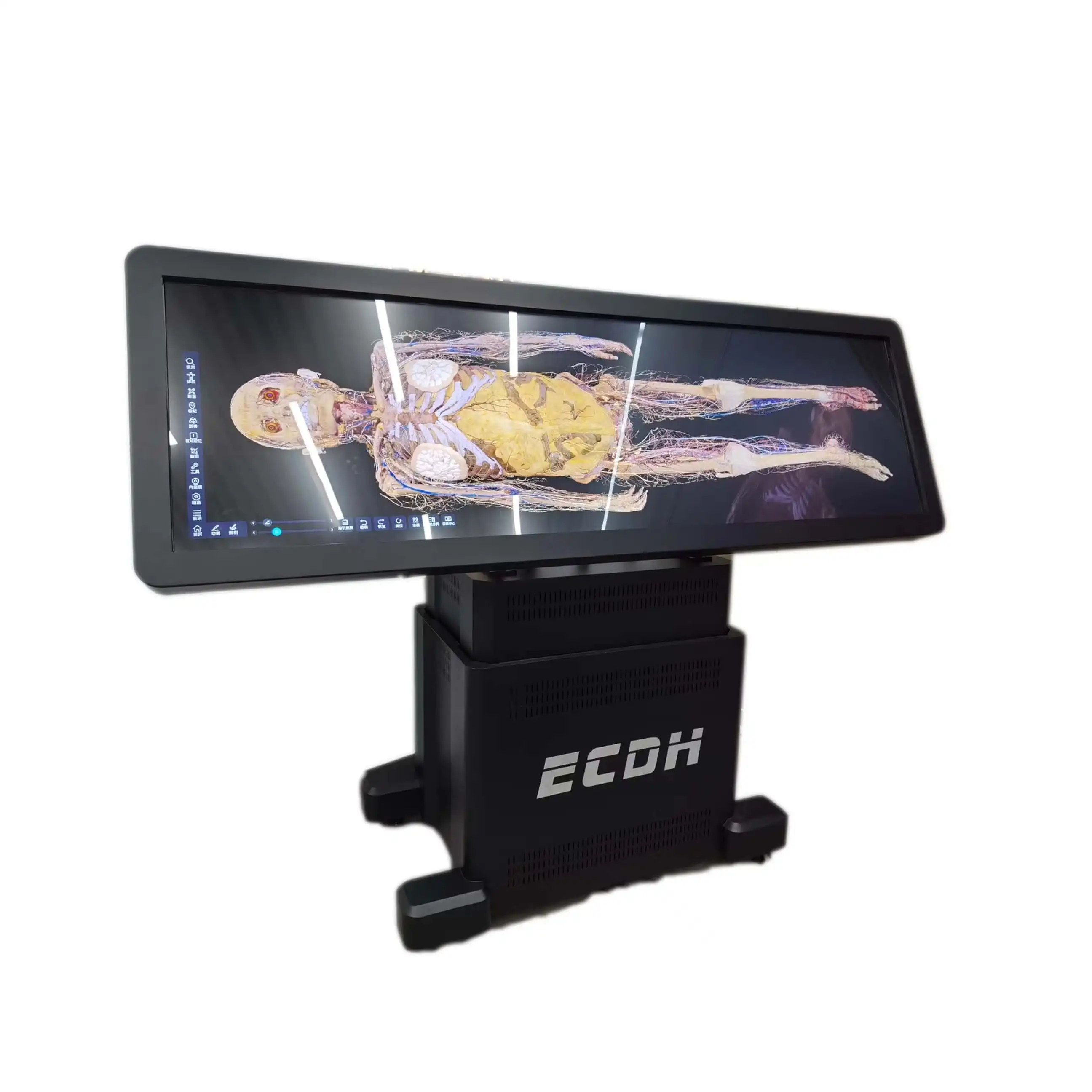 Human Virtual Anatomage 3D Anatomy Table Digital Human Body Virtual ...