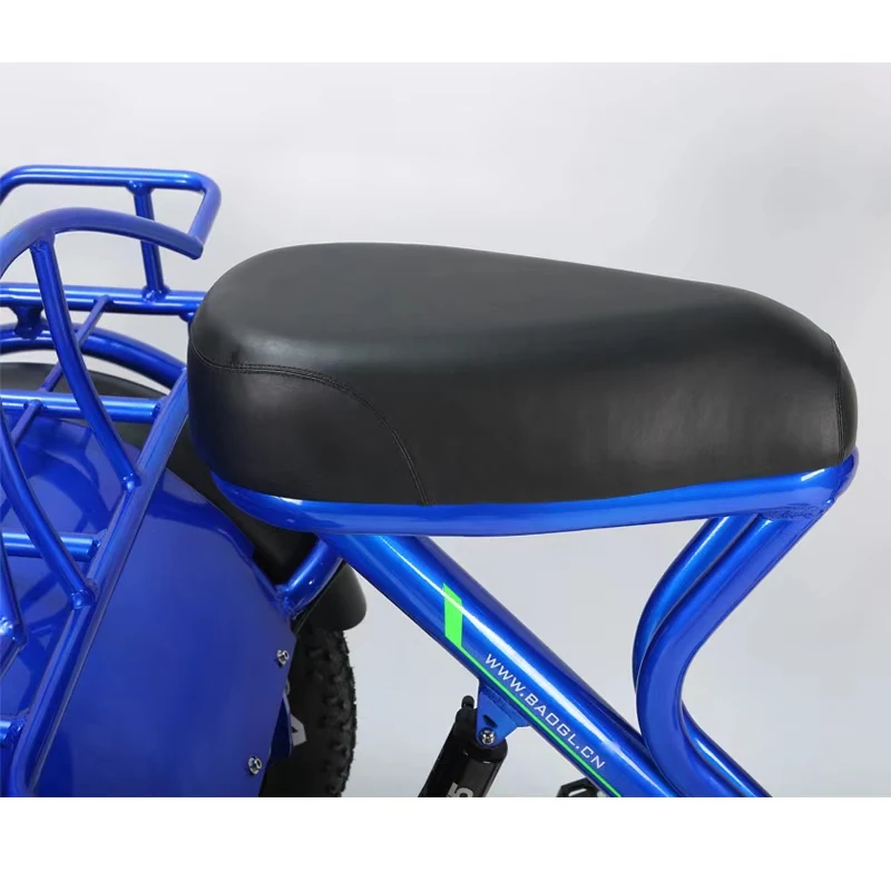 Versatile Electric Tricycle with 48V 500W Dual Motor20 Inch Fat Tire ...