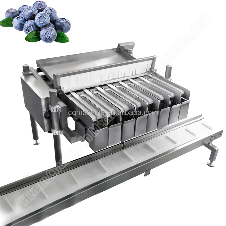 Lychee Weigh And Fill Machine Smart Automatic Blueberry Packaging Scale ...