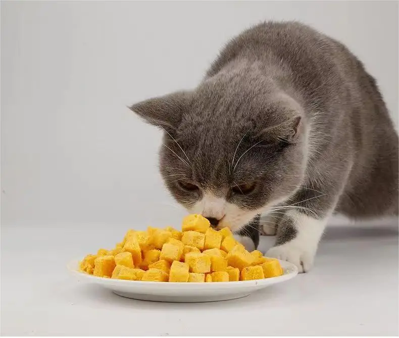 Oem Pet Food Factory Pet Nutritional Supplement Snacks Delicious Cats ...