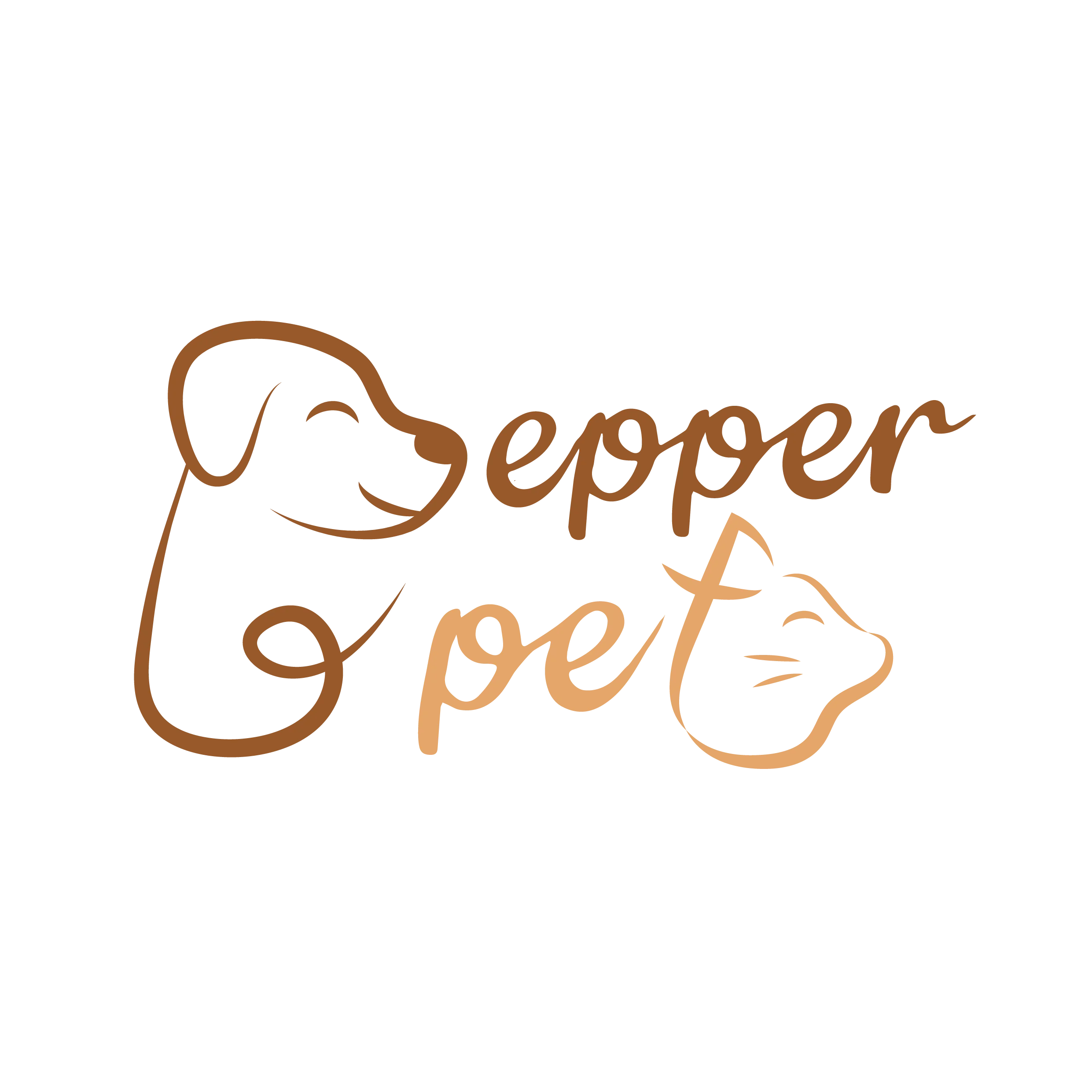 Company Overview - Pepper Industrial (shenzhen) Co., Ltd.