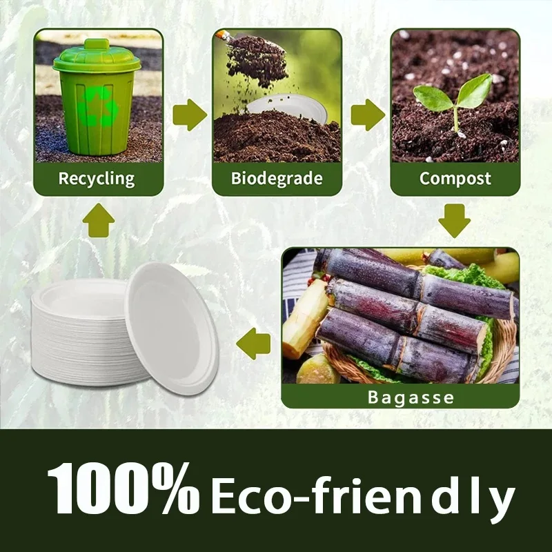 Compostable Disposable Biodegradable Rectangle Sugarcane Bagasse Paper ...