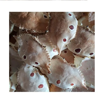 Hot Hot!! Dried Crab Shell With High Quality And Competitive Price For ...
