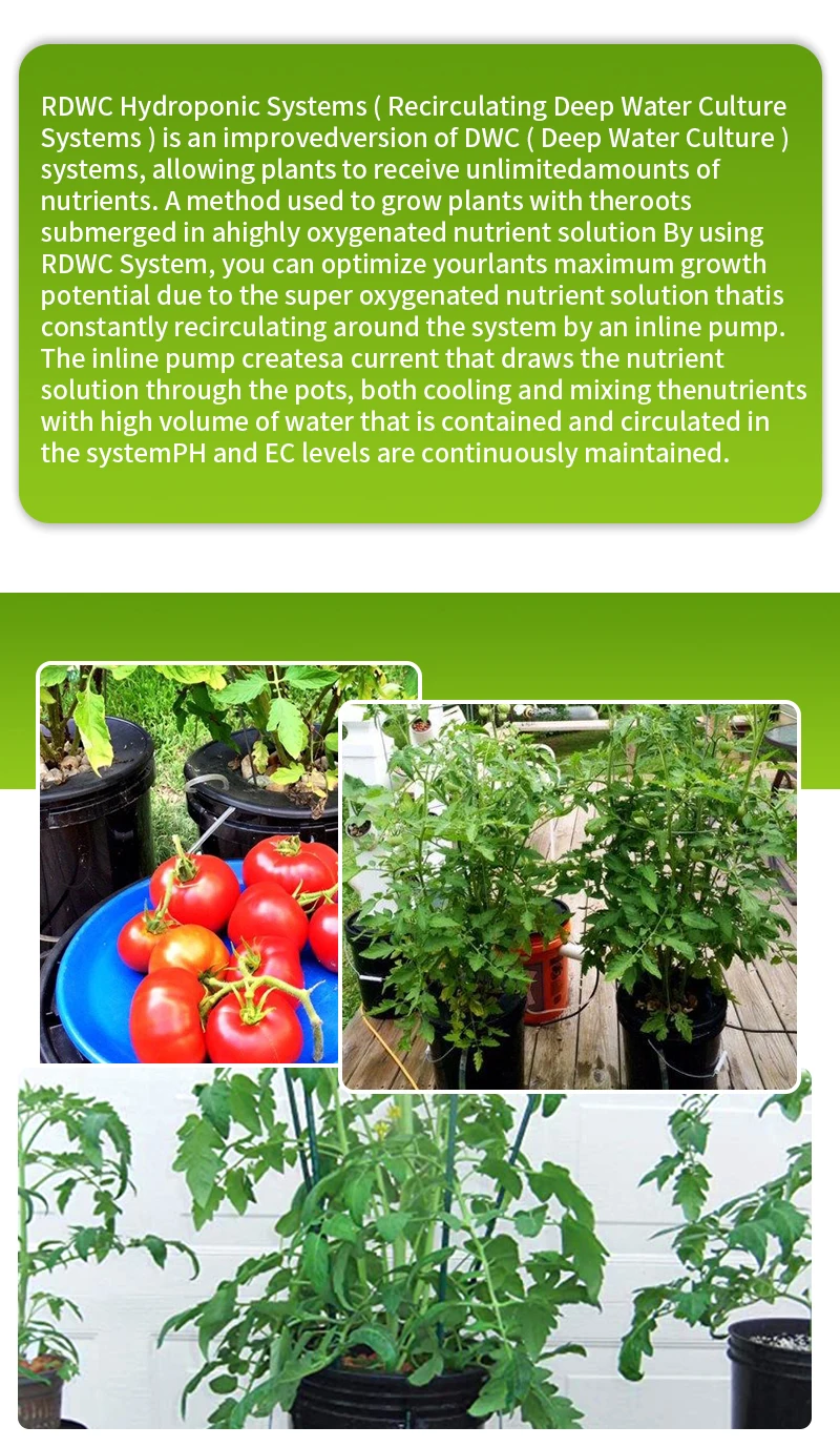 Hydroponics System Indoor Garden Dwc Plant Cloner Bucket Dwc Deep Water ...