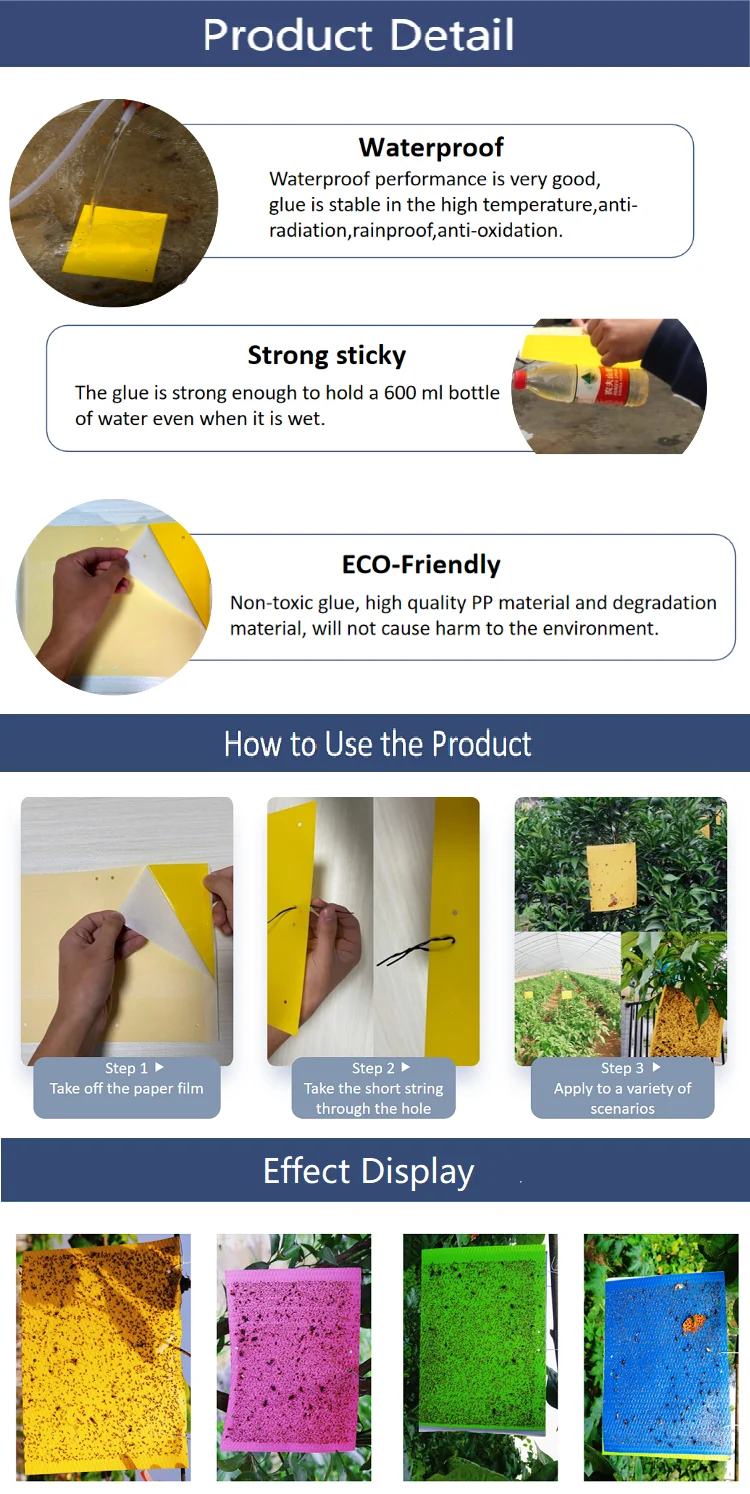 20*10 cm Double-side Organic Gnat Trap Sticky Insect Glue Monitor ...