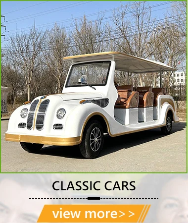 Shandong Rainbow International Business Co., Ltd. - Electric Golf Carts ...