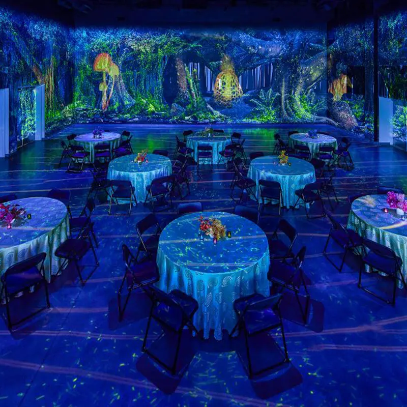 Factory Price Indoor 3d Immersive Restaurant Interactive Holographic ...