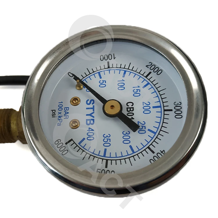 4cyl Cng Lpg Autogas 5v Manometer Cng Fuel Injection Pressure Tester ...