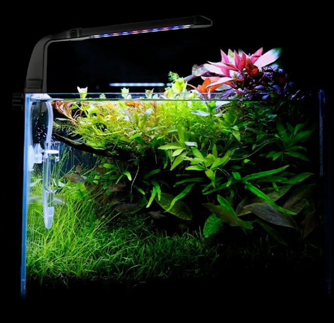 Clip on Aquarium Light, Fish Tank Light with White, Blue and Red ...