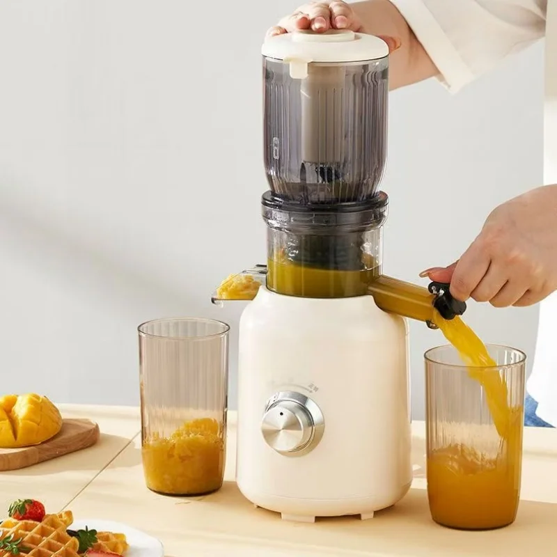 200W Masticating Cold Press Juicer Extractor for Home Use