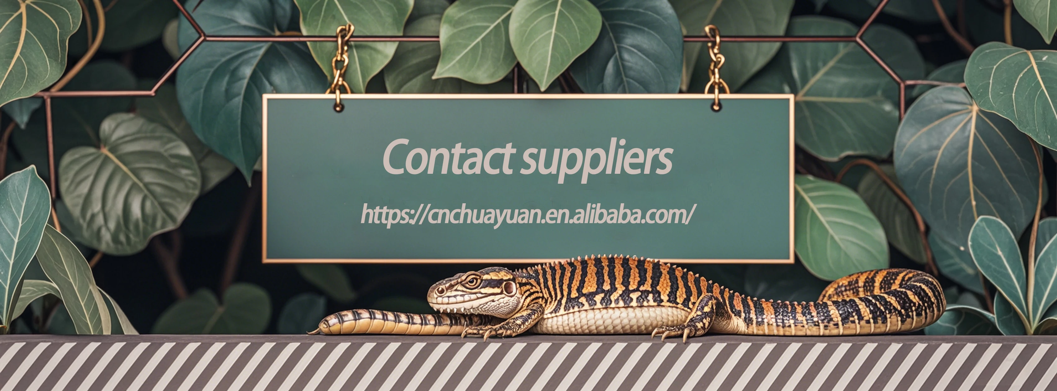 Snake Lizard Breeder Cage, Pvc Breeding Box, Durable Aluminum Vivarium ...