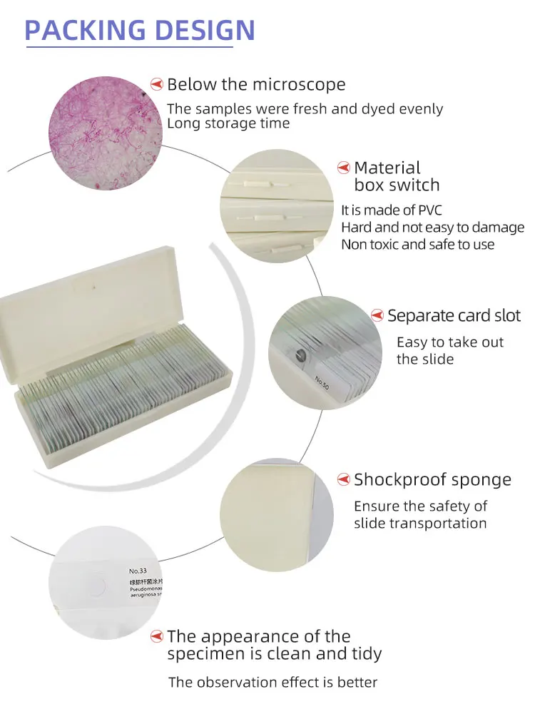 Bacterial Slide FRT2003 Microscope High Clarity 50 Kinds Kit Fungi and ...