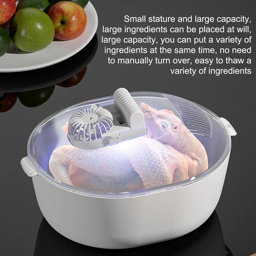 Kitchen Fast Food Fish Frozen Meat Thawing Machine Without Heating 4 In ...