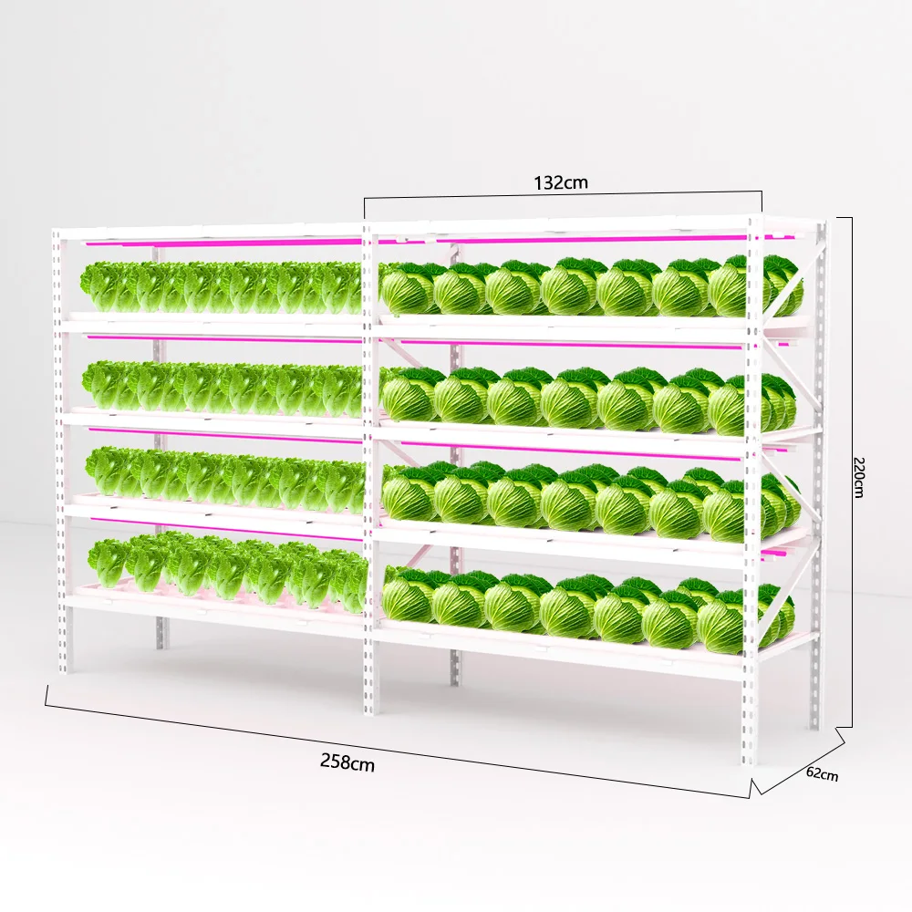 33 Holes Flat Hydroponic Seed Sprouter Microgreens Grow Tray Greenhouse ...