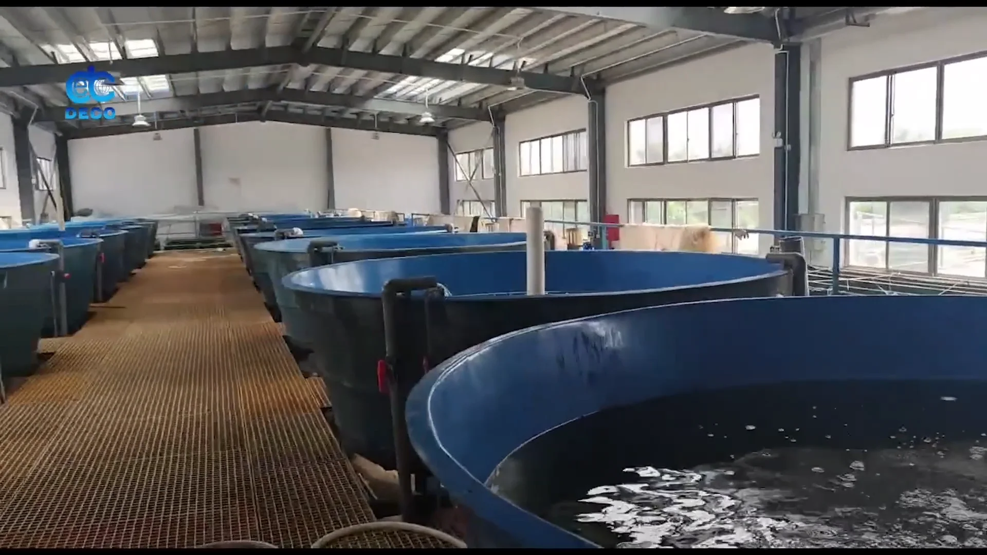 Ras Fish Farming Equipment Indoor Shrimp Farming Equipment ...