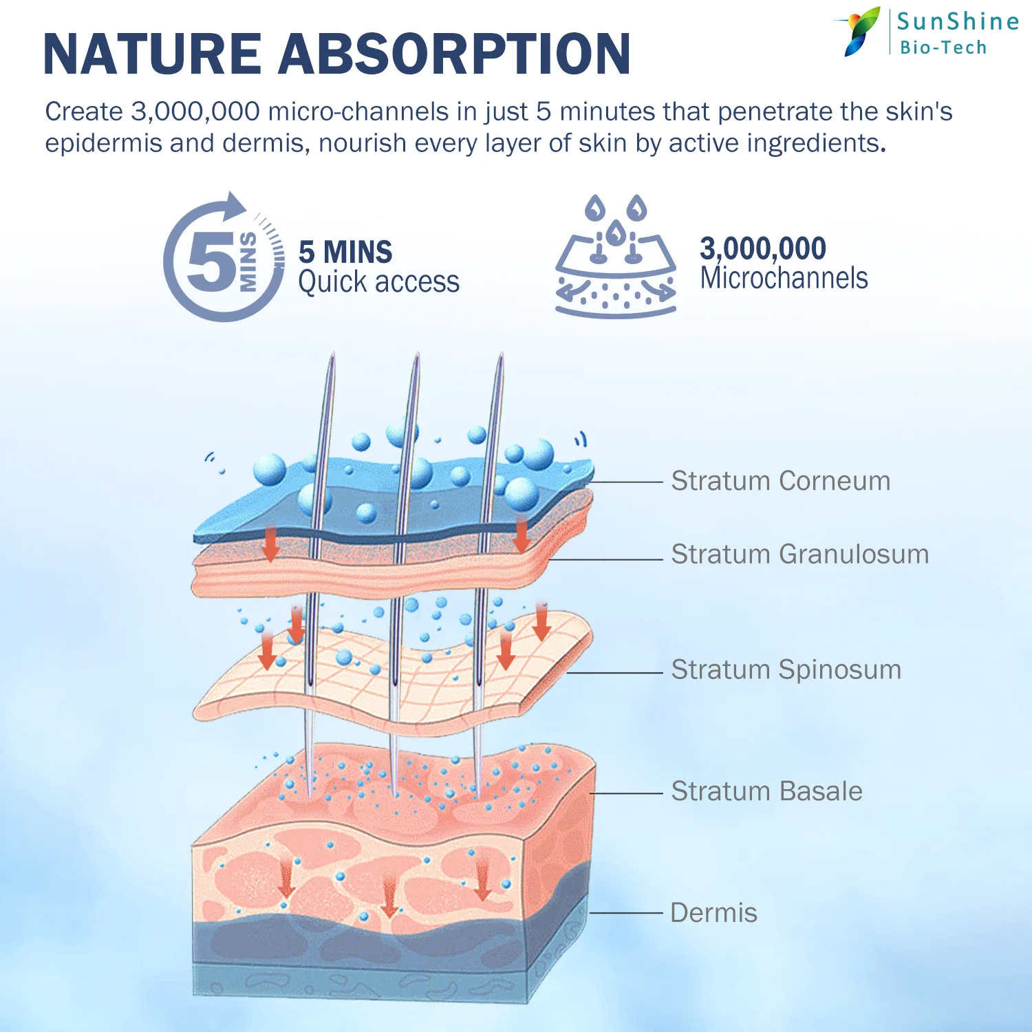 Skincare Acne Skin Repair Spongilla Powder Sqt Biomicroneedling ...